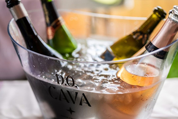 Cava champagne store
